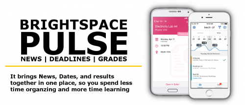 Pulse – Student Resources