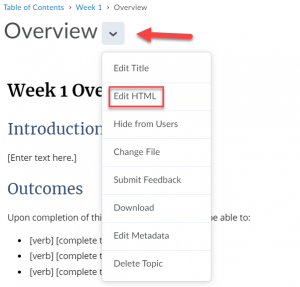 How Do I Access the Brightspace Editor From an HTML Page? – Technology ...